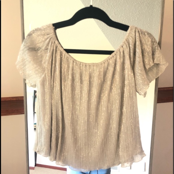 Zara | Tops | Zara Metallic Shimmery Gold Off Shoulder Top Xs | Poshmark